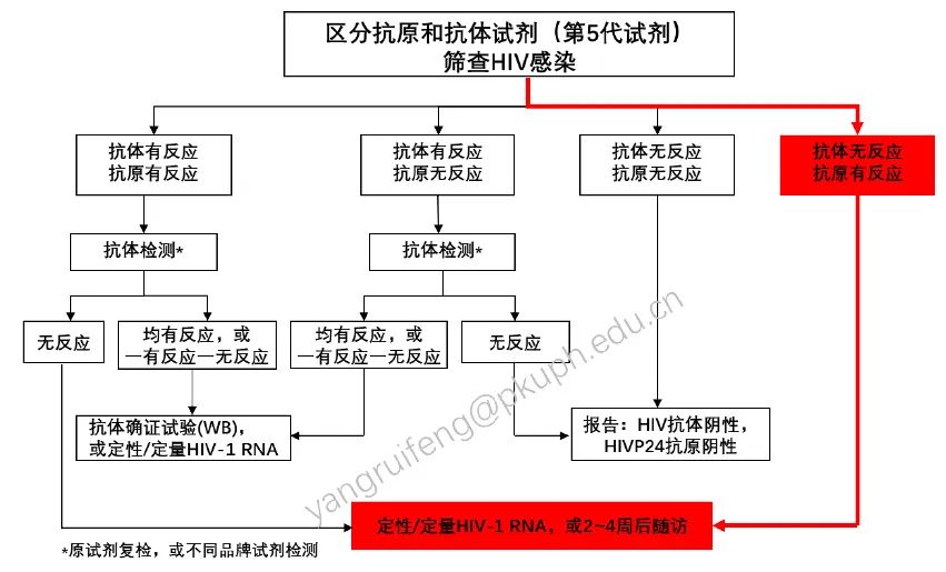 “共抗艾滋 共享健康”——第5代化学发光试剂助力HIV感染诊断_CACLP体外诊断资讯网
