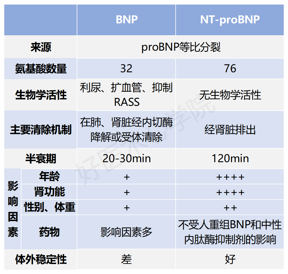 BNP与NT-proBNP有什么区别？ - 好医术早读文章 - 好医术-赋能医生守护生命
