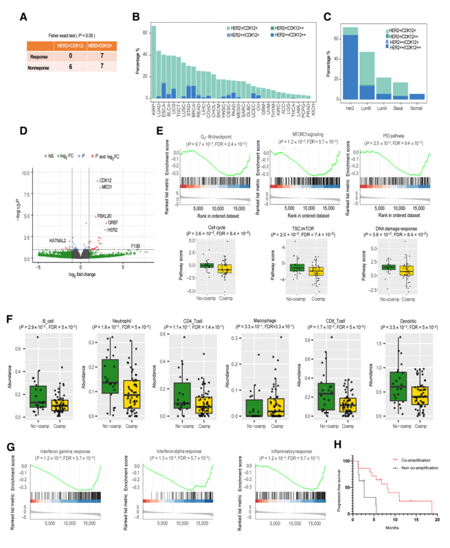 抗HER2耐药晚期乳腺癌12月OS率85.8%！中国原创双抗KN026首秀成功！-咚咚肿瘤科