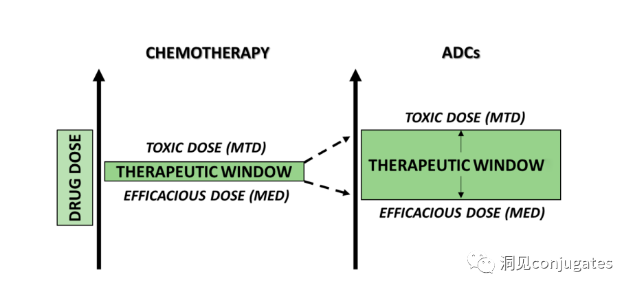 人人学懂ADC第一期：ADC全景概况、抗体及linker选择-咚咚肿瘤科