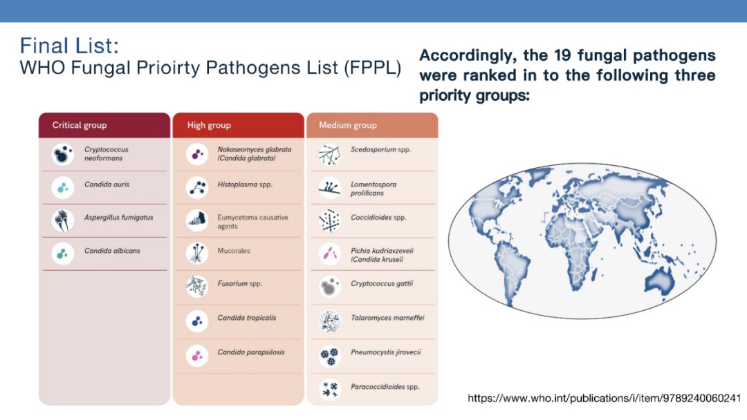专家呼吁「全面提升临床微生物检验能力」，一站式解决方案助力临床！_CACLP体外诊断资讯网